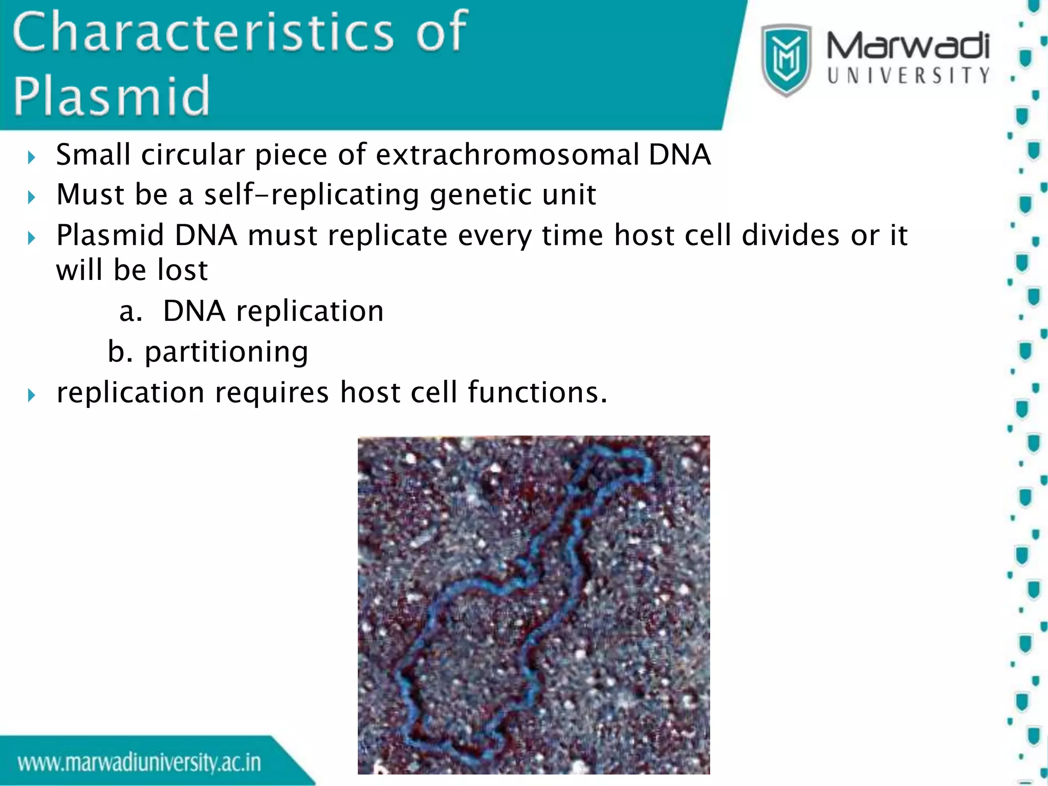 Replicative mechanisms of Plasmid and Circular Genomes | PPT