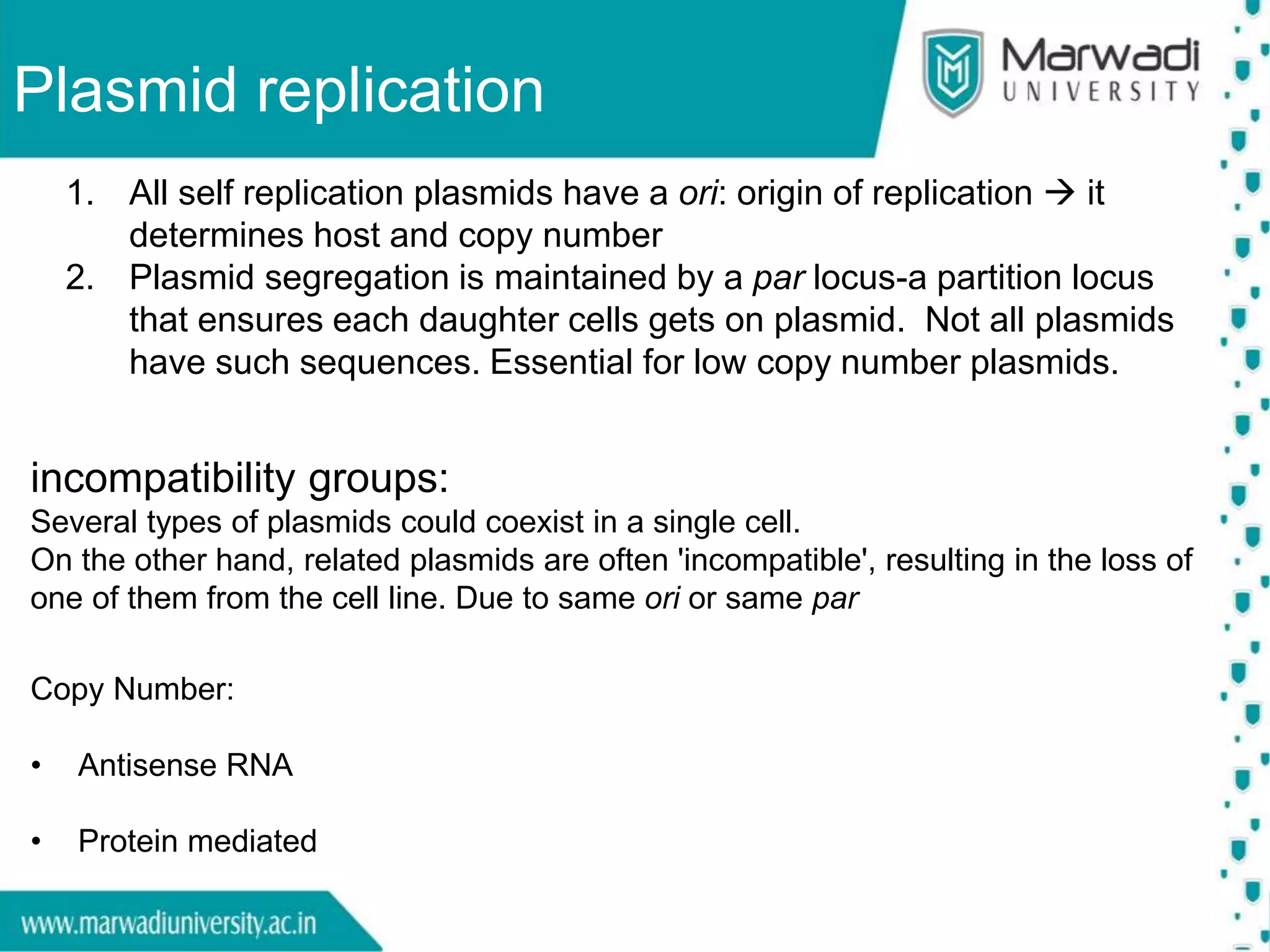 Replicative mechanisms of Plasmid and Circular Genomes | PPT