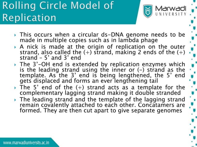 Replicative mechanisms of Plasmid and Circular Genomes | PPT