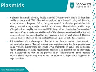 Replicative mechanisms of Plasmid and Circular Genomes | PPT