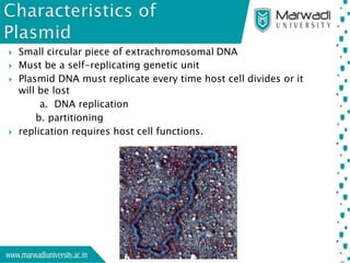 Replicative mechanisms of Plasmid and Circular Genomes | PPTX