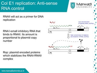 Replicative mechanisms of Plasmid and Circular Genomes | PPT