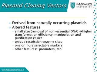 Replicative mechanisms of Plasmid and Circular Genomes | PPT