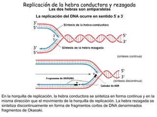 Replicación | PDF