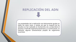 REPLICACIÓN DEL ADN. biologia molecular. | PPTX