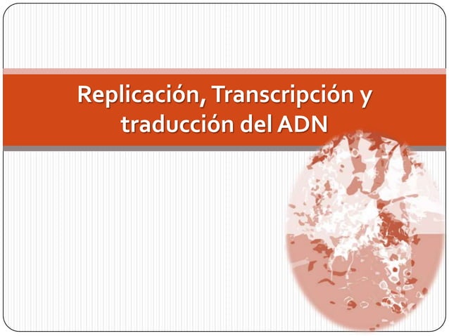 Replicación Transcripción Y Traducción Del Adn Ppt