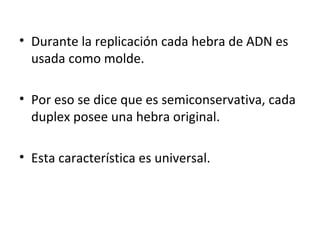 Replicacion adn | PPT