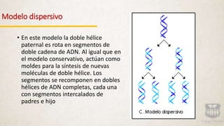 Replicacion del adn | PPTX