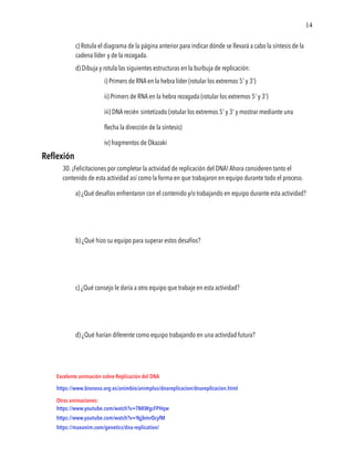 Replicación del DNA. Guía basada en la metodología POGIL.pdf