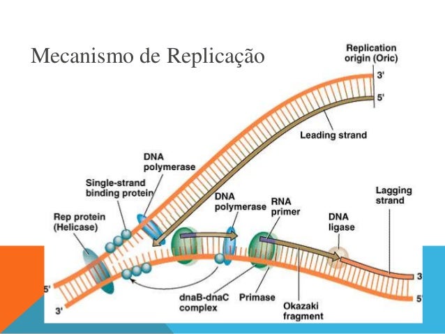 Replicação do DNA