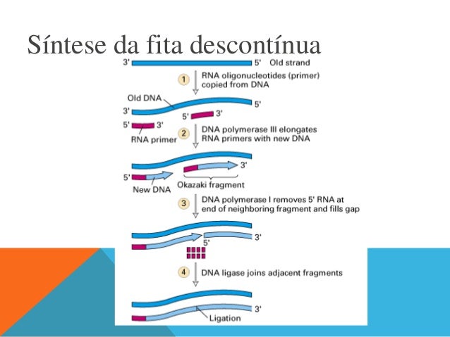 Replicação do DNA