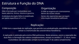 Processo de Replicação do DNA. Processo. | PPTX