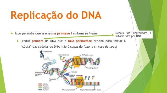 Replicação do dna