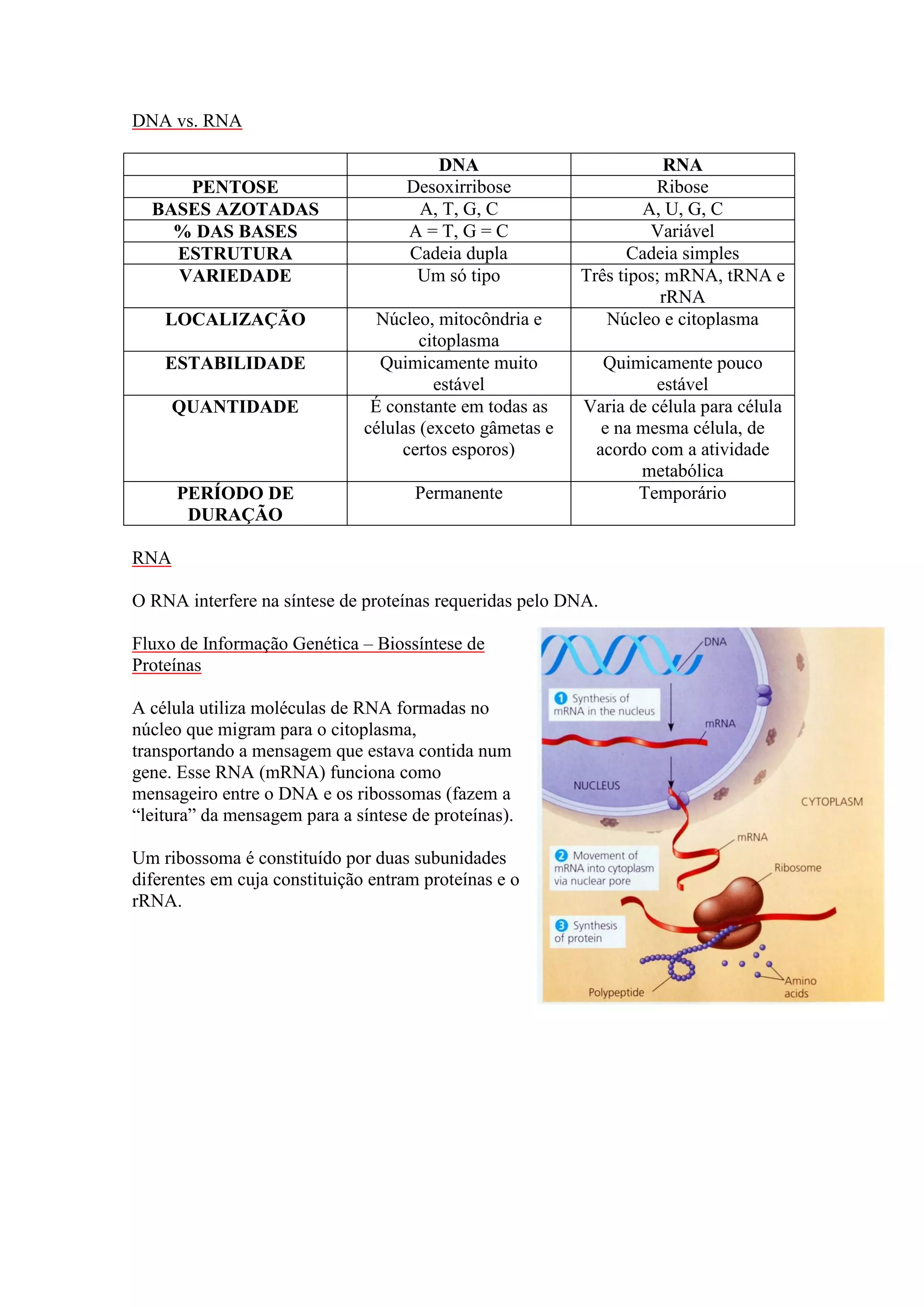 Replicação do dna_e_ciclo_celular | PDF