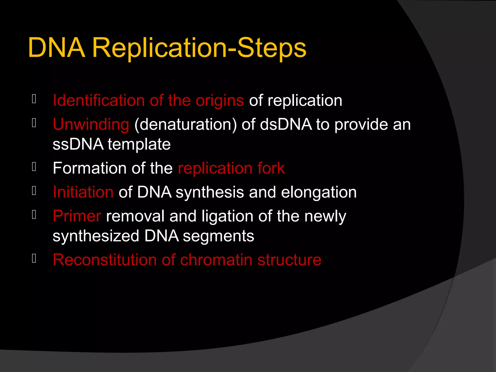 DNA Replication | PPT