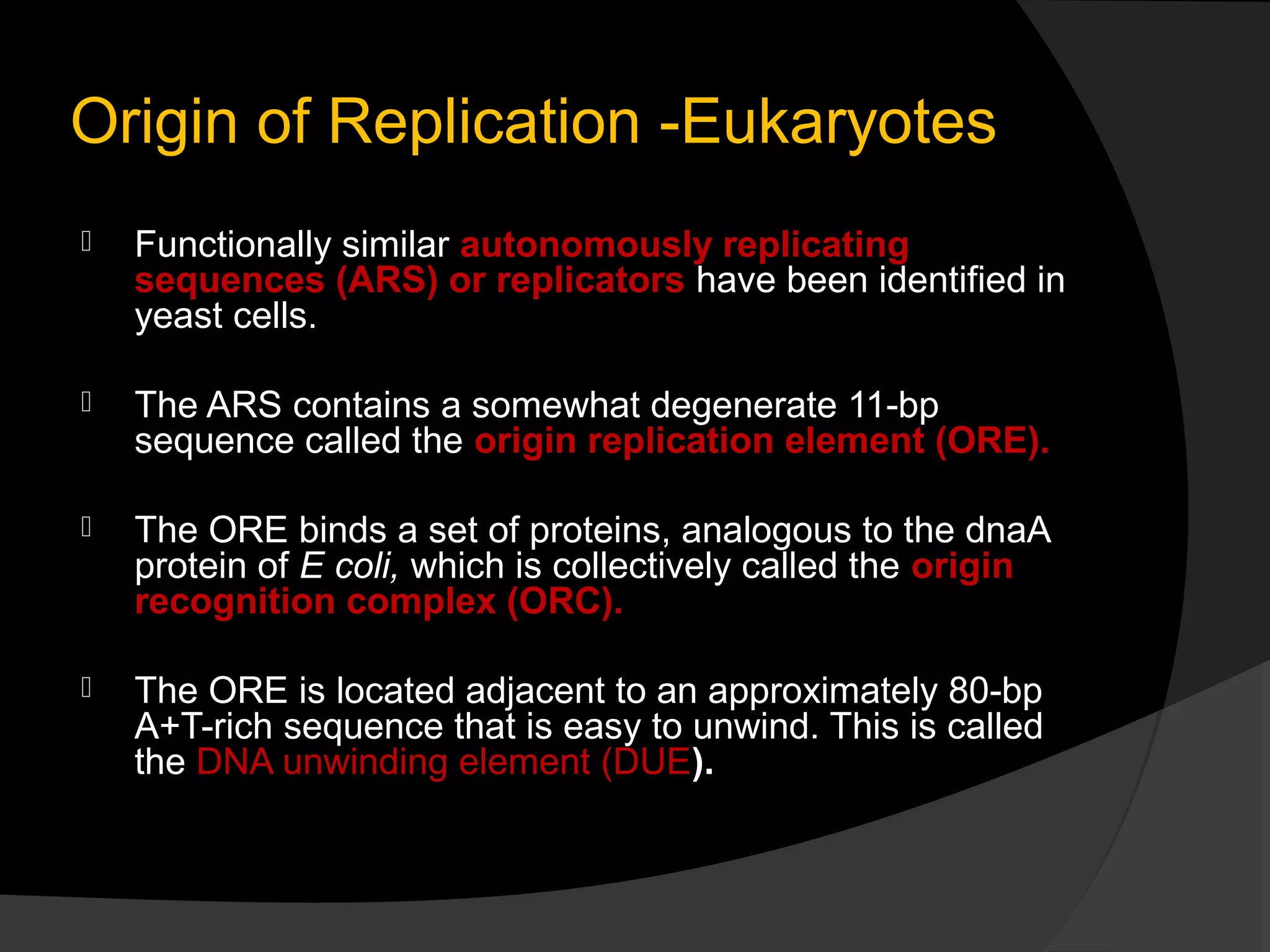 DNA Replication | PPT