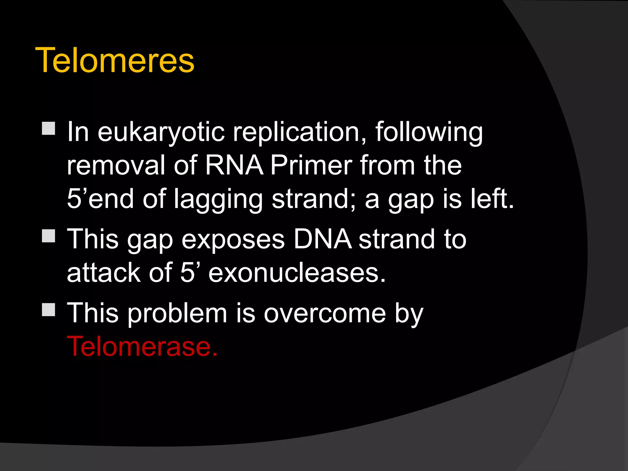 DNA Replication | PPT