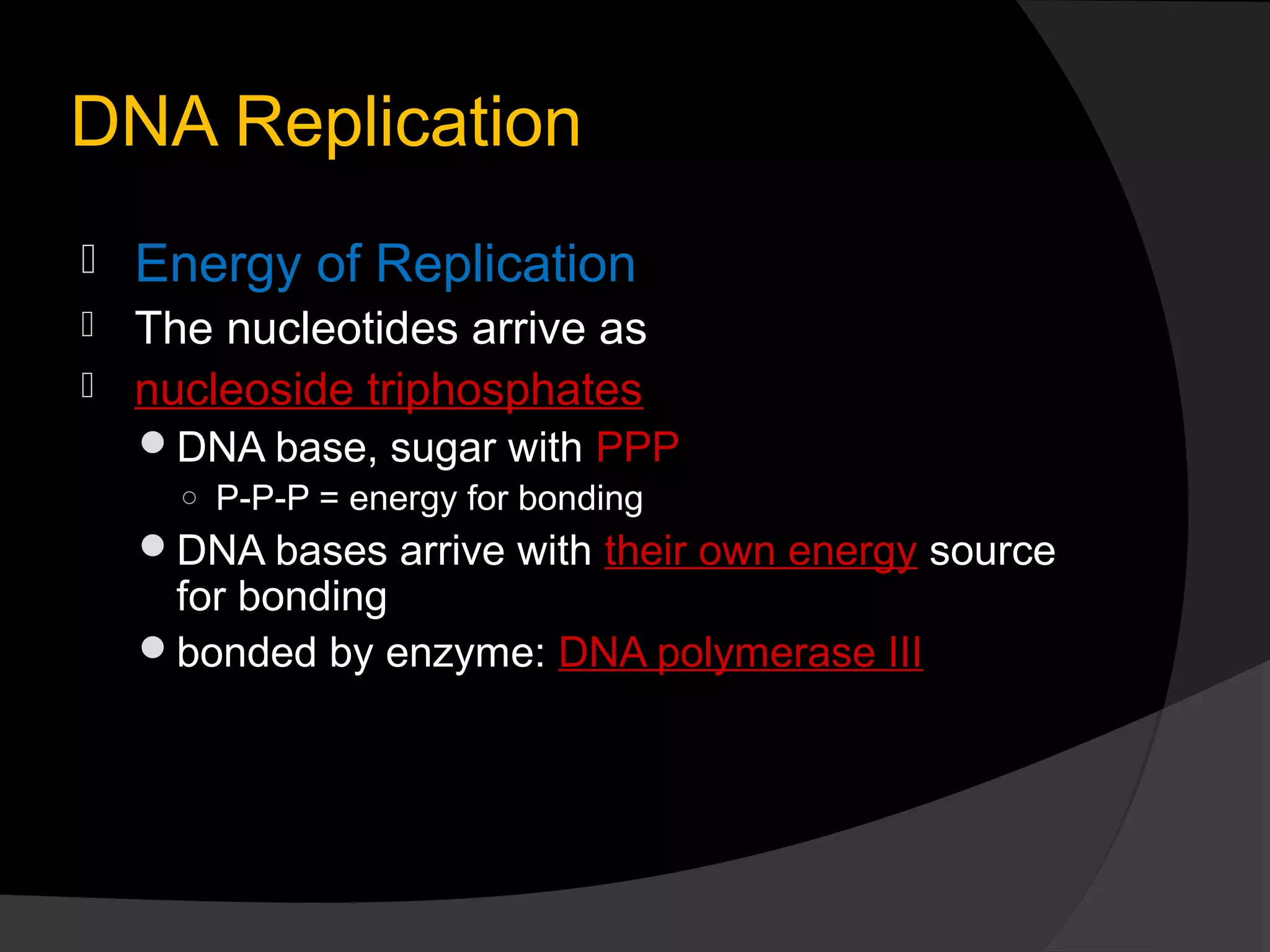 DNA Replication | PPT