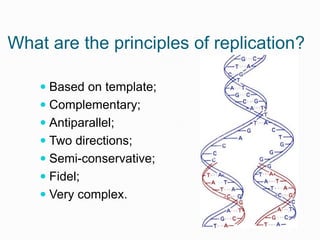 Replication | PPTX
