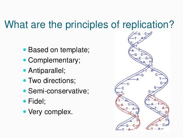 Replication Meaning