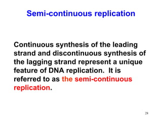 DNA Replication in eukaryotes and prokaryotes | PPT