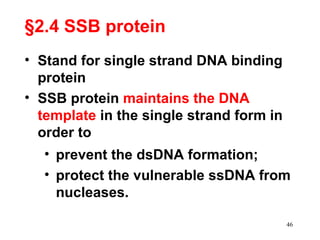 DNA Replication in eukaryotes and prokaryotes | PPT