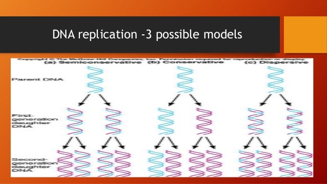 Replication Meaning