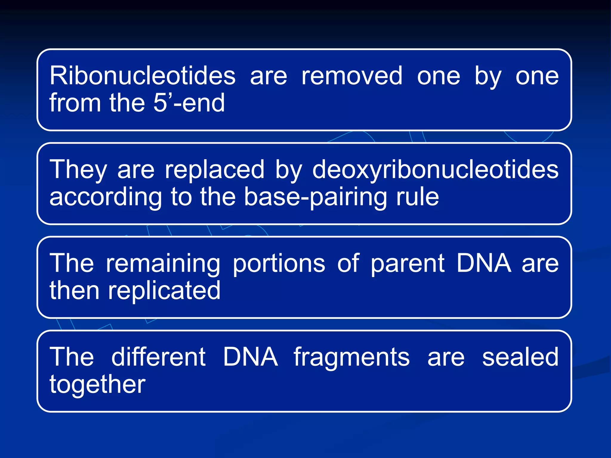 Replication | PPTX | Chemistry | Science