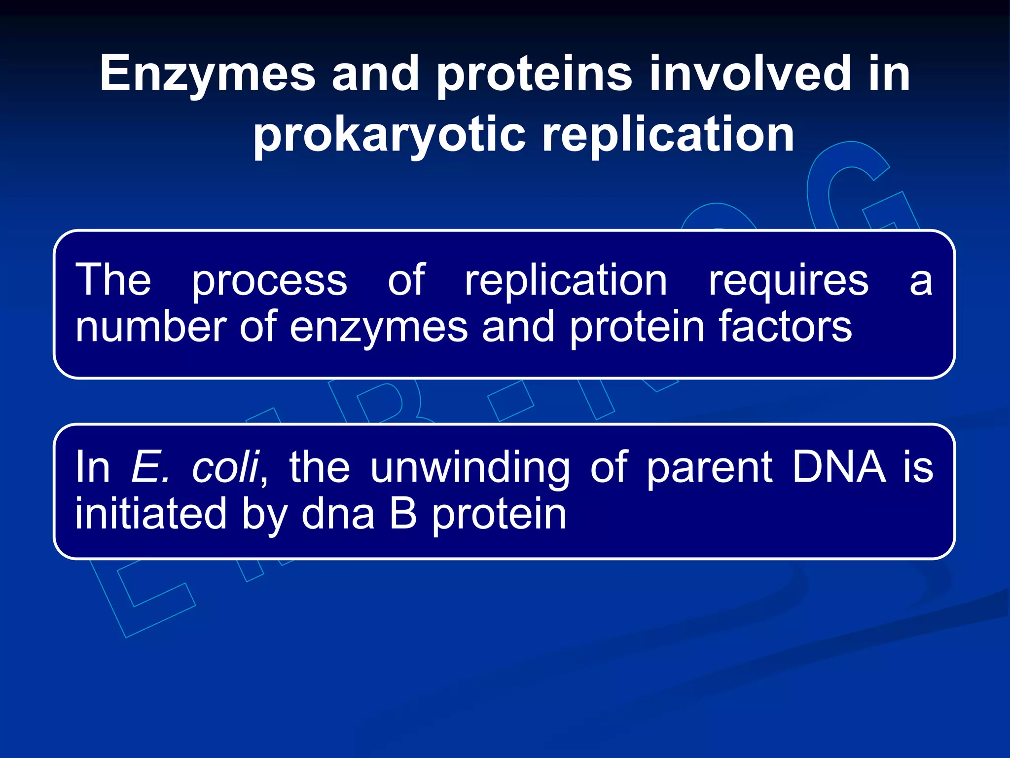 Replication | PPTX | Chemistry | Science