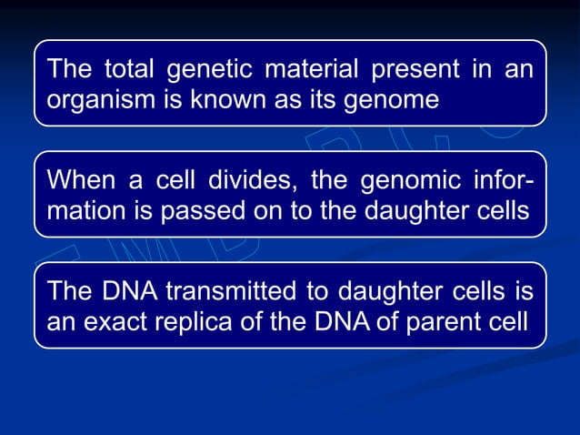 Replication | PPTX | Chemistry | Science