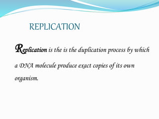 Replication | PPT