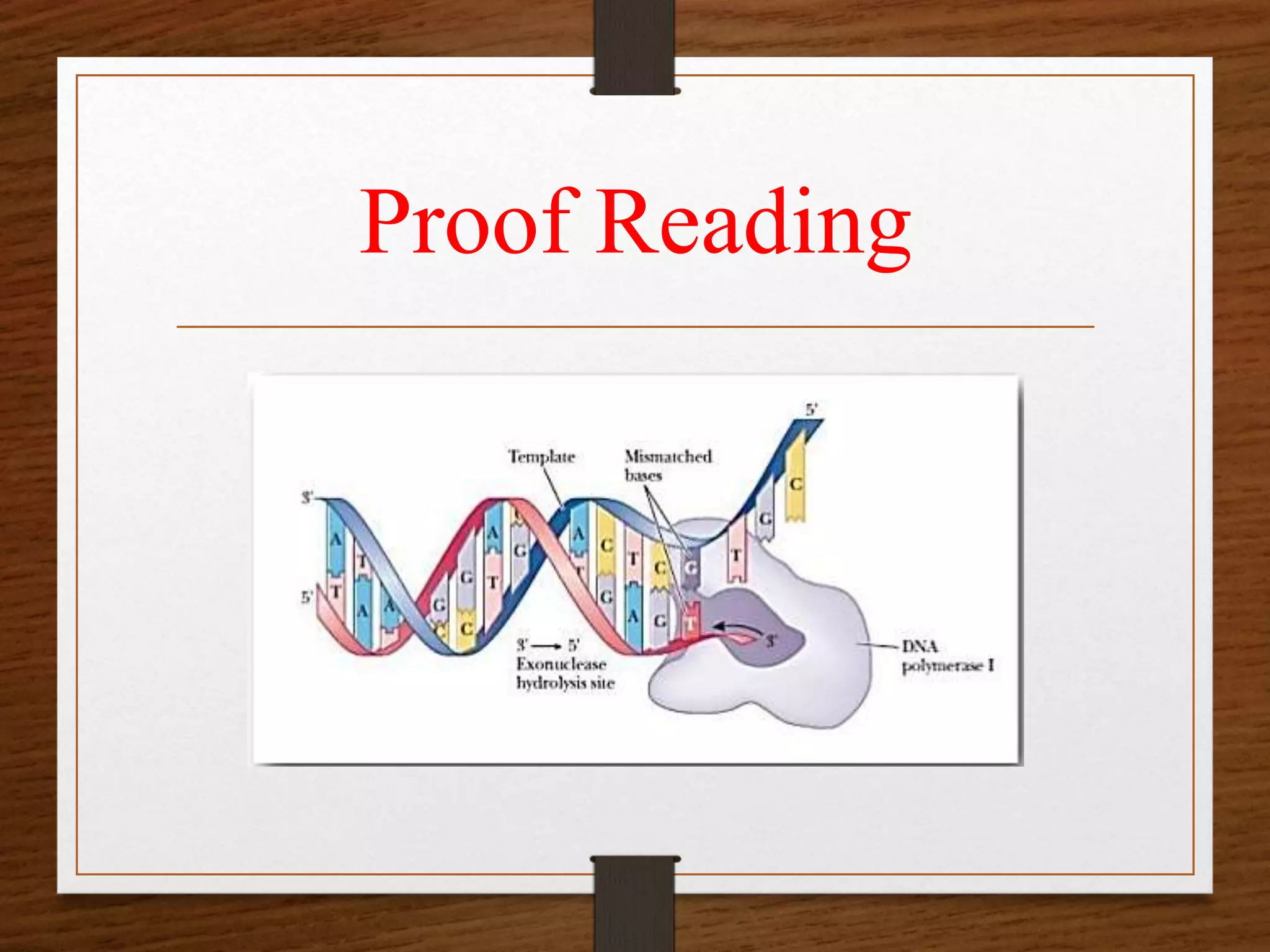 Replication | PPTX | Chemistry | Science