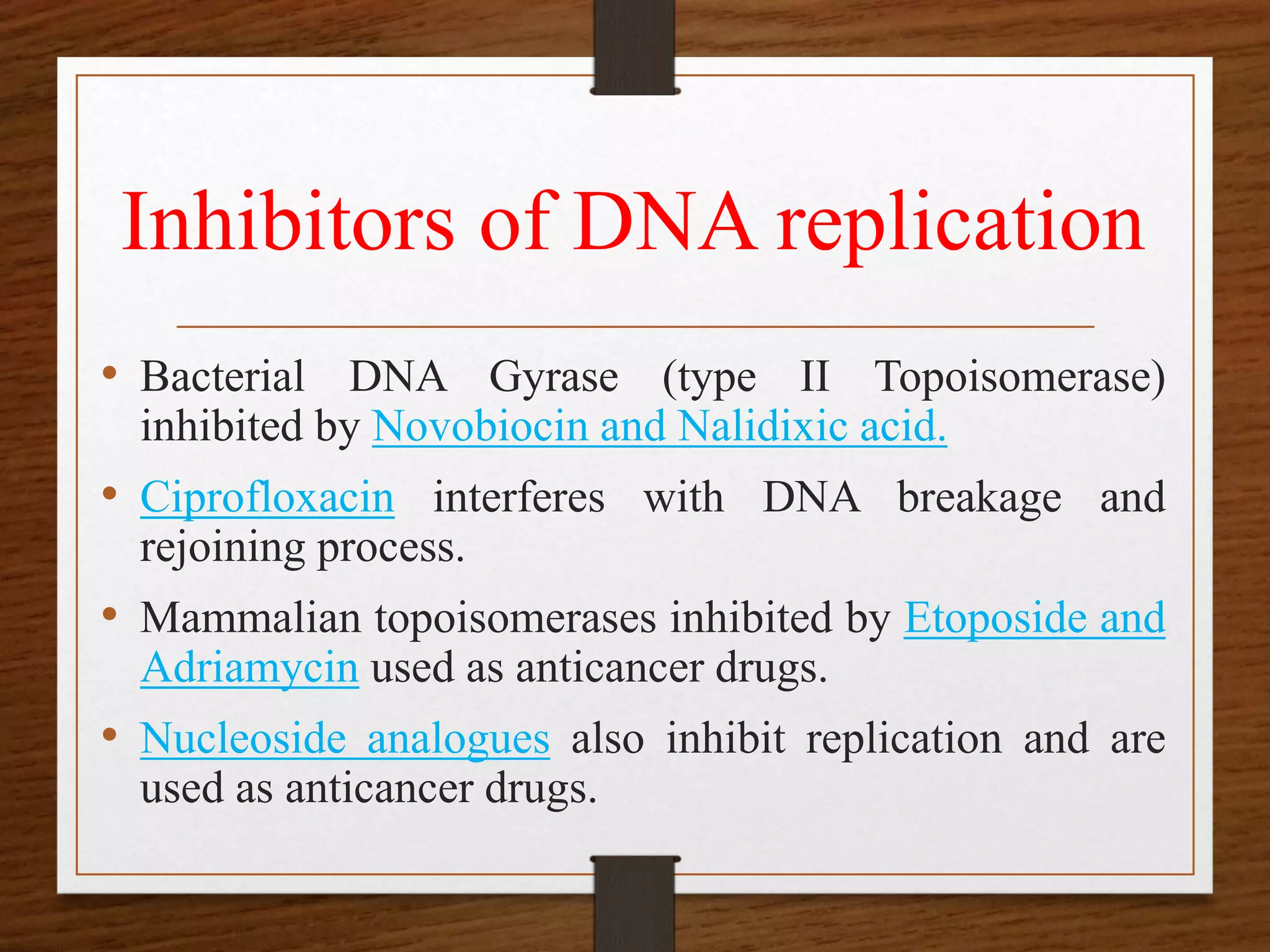 Replication | PPTX | Chemistry | Science