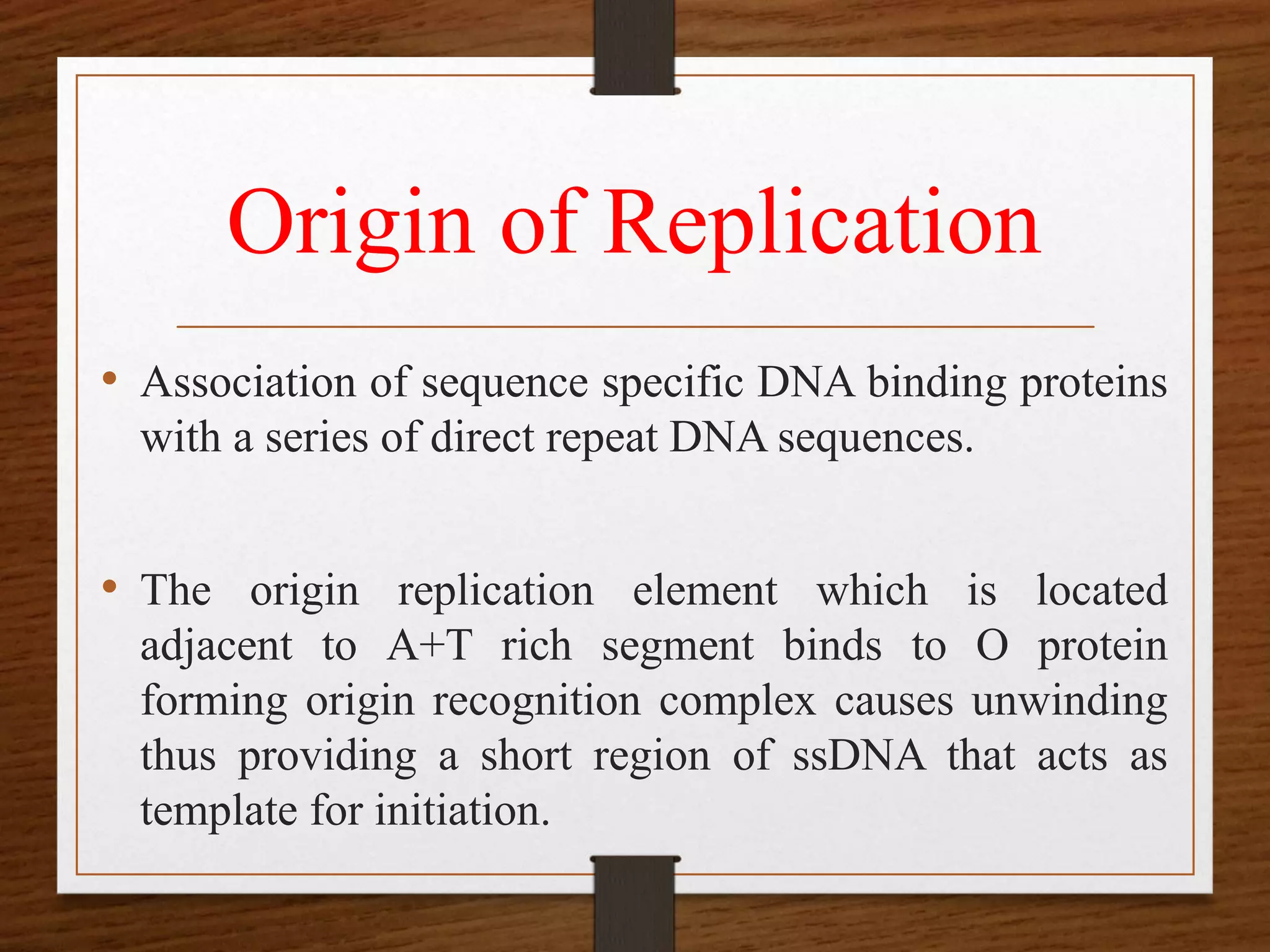 Replication | PPTX | Chemistry | Science