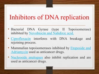 Replication | PPTX | Chemistry | Science