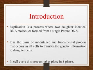 Replication | PPTX | Chemistry | Science