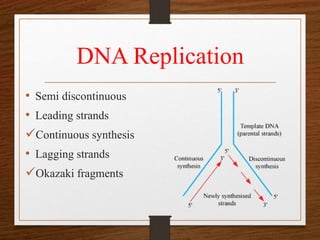 Replication | PPTX | Chemistry | Science