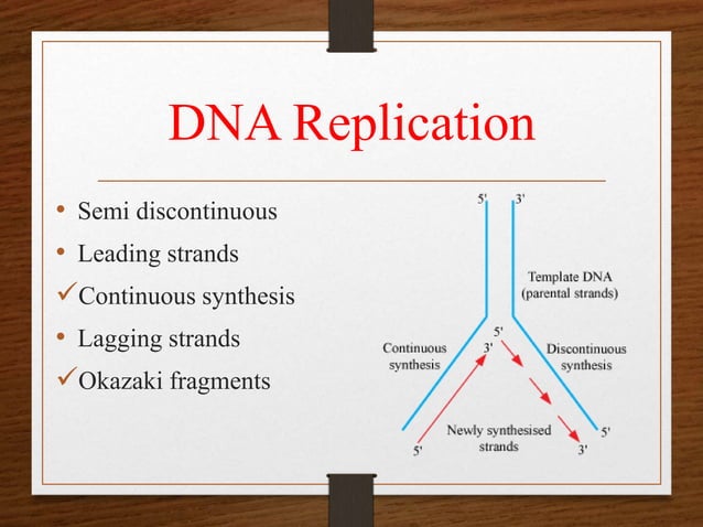 Replication | PPTX | Chemistry | Science