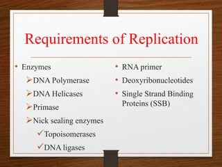 Replication | PPTX | Chemistry | Science