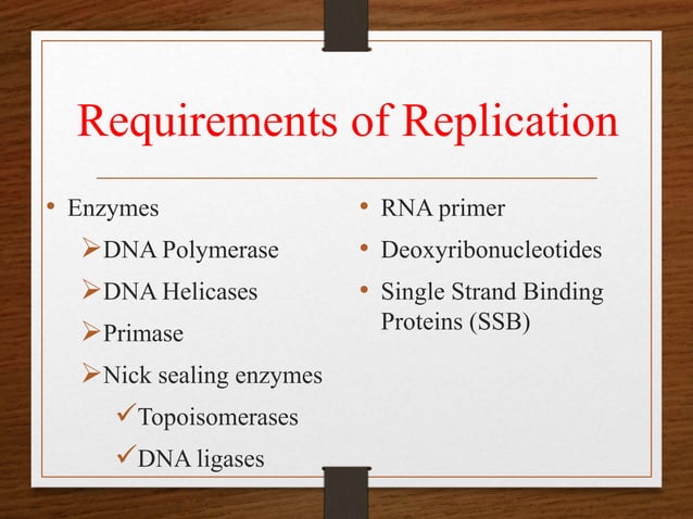 Replication | PPTX | Chemistry | Science