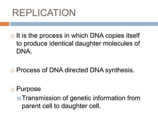 Replication of DNA | PPTX | Biological Sciences | Science