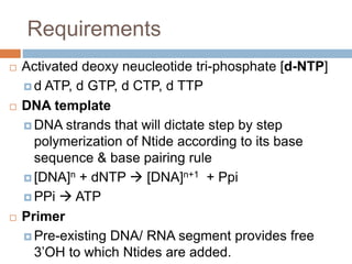 Replication of DNA | PPTX | Biological Sciences | Science