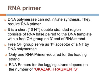 Replication of DNA | PPTX | Biological Sciences | Science
