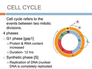 Replication of DNA | PPTX | Biological Sciences | Science