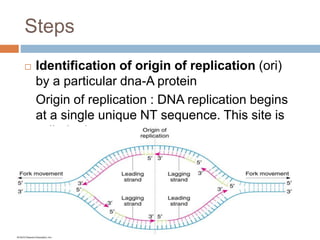 Replication of DNA | PPTX | Biological Sciences | Science