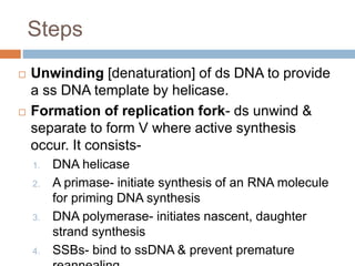 Replication of DNA | PPTX | Biological Sciences | Science