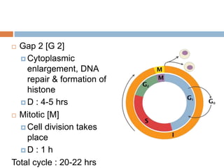Replication of DNA | PPTX | Biological Sciences | Science
