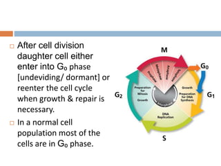 Replication of DNA | PPTX | Biological Sciences | Science