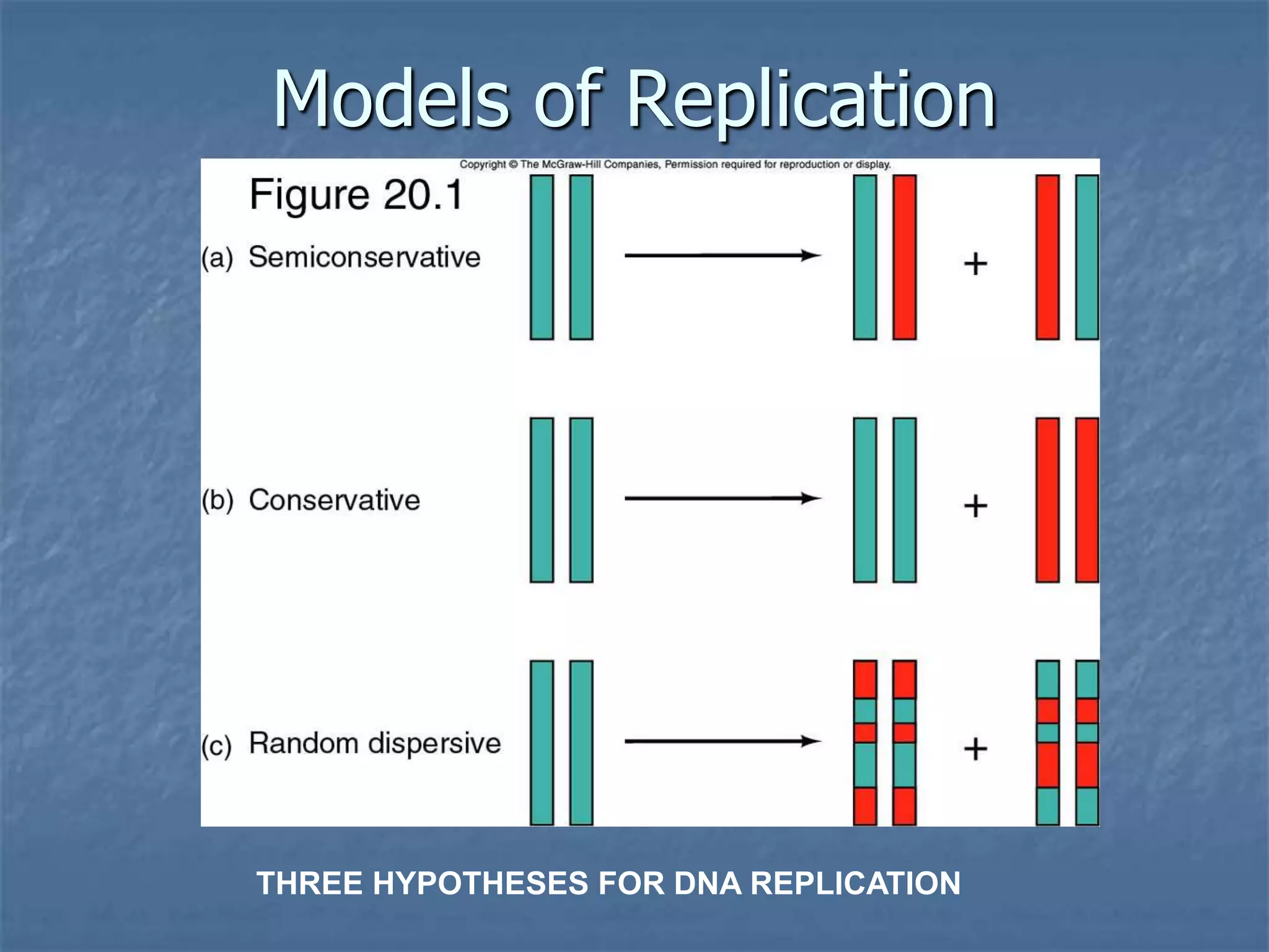 Replication | PPT