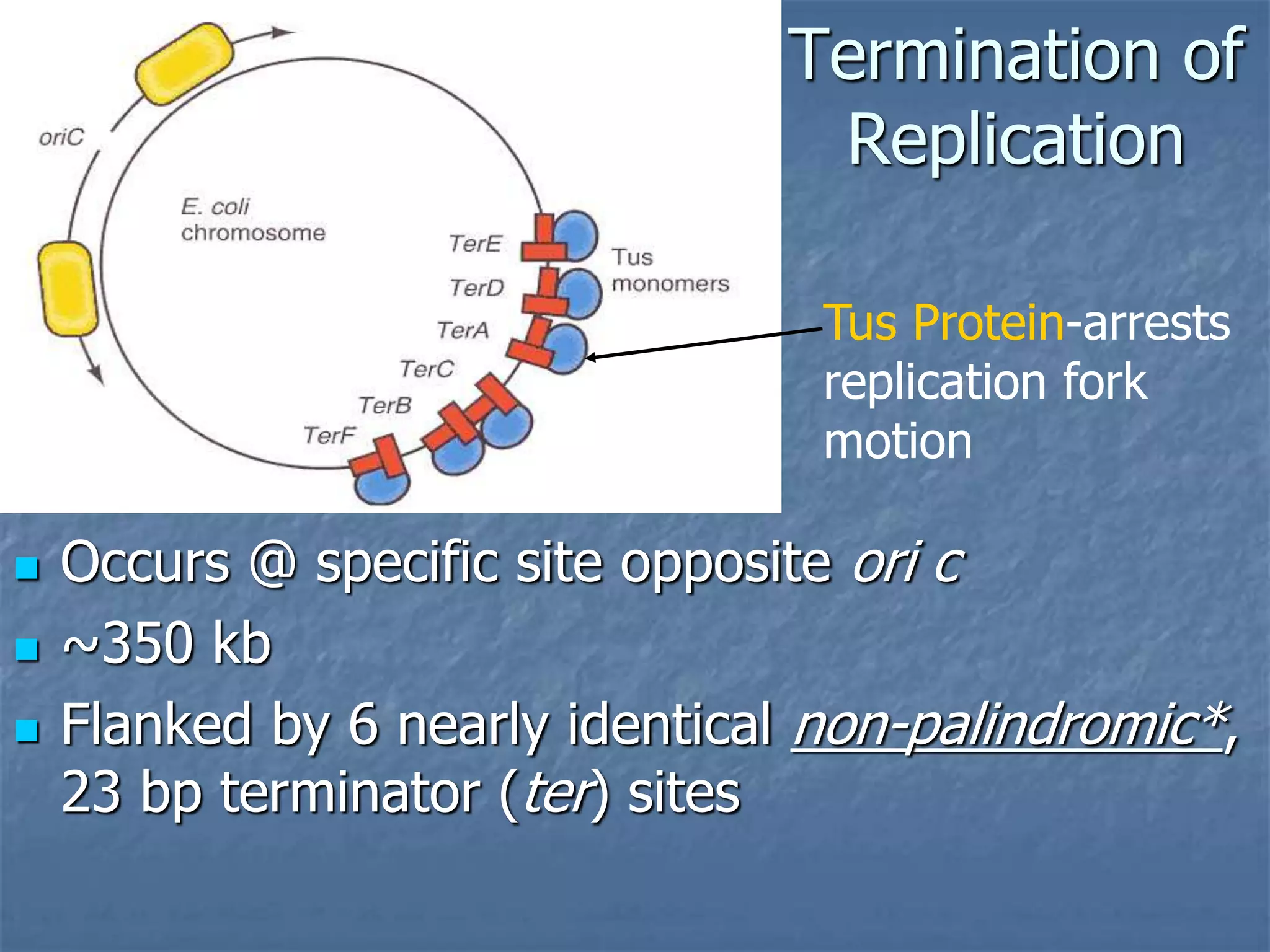 Replication | PPT